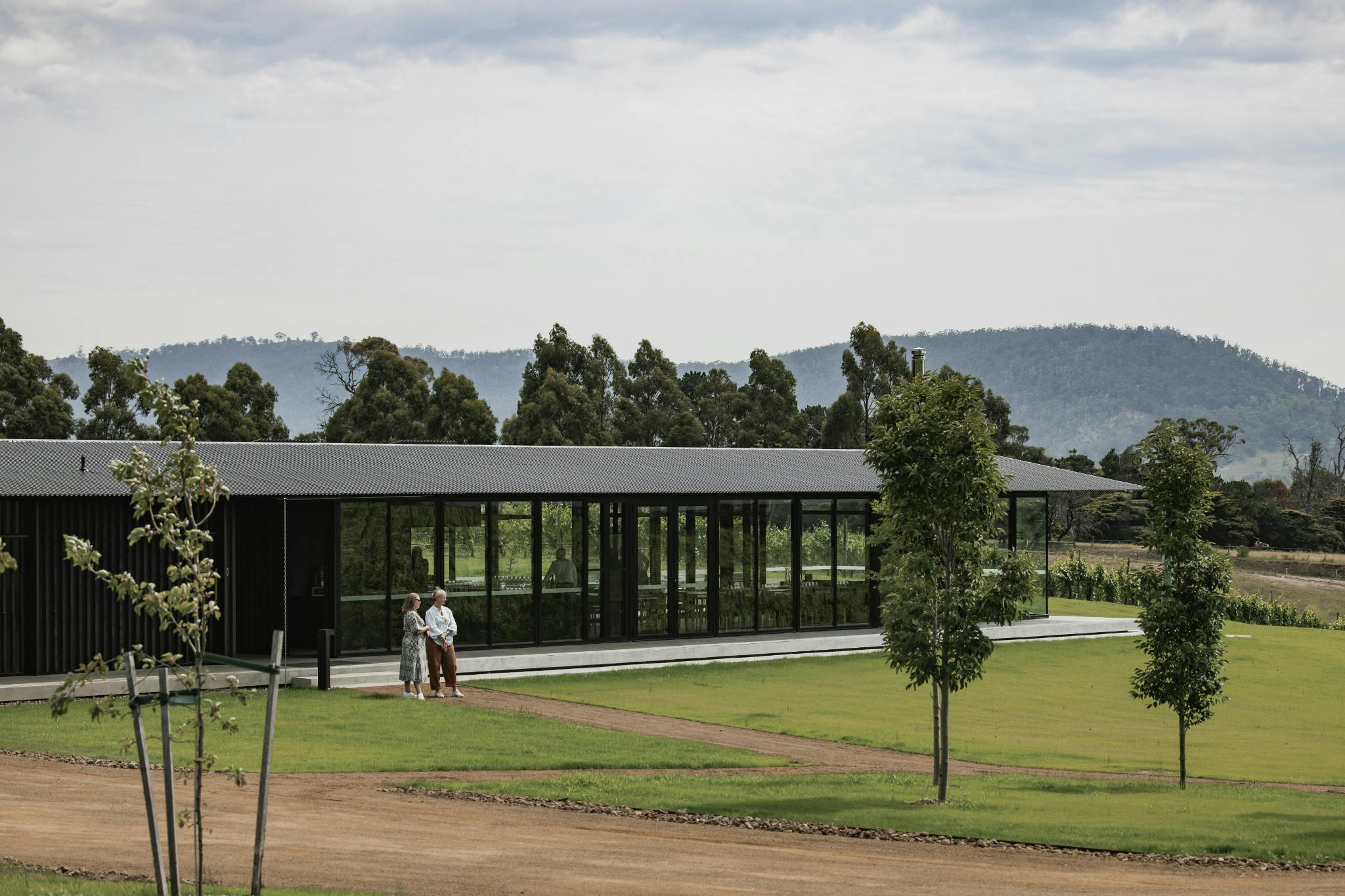 Tolpuddle Vineyard | Visit